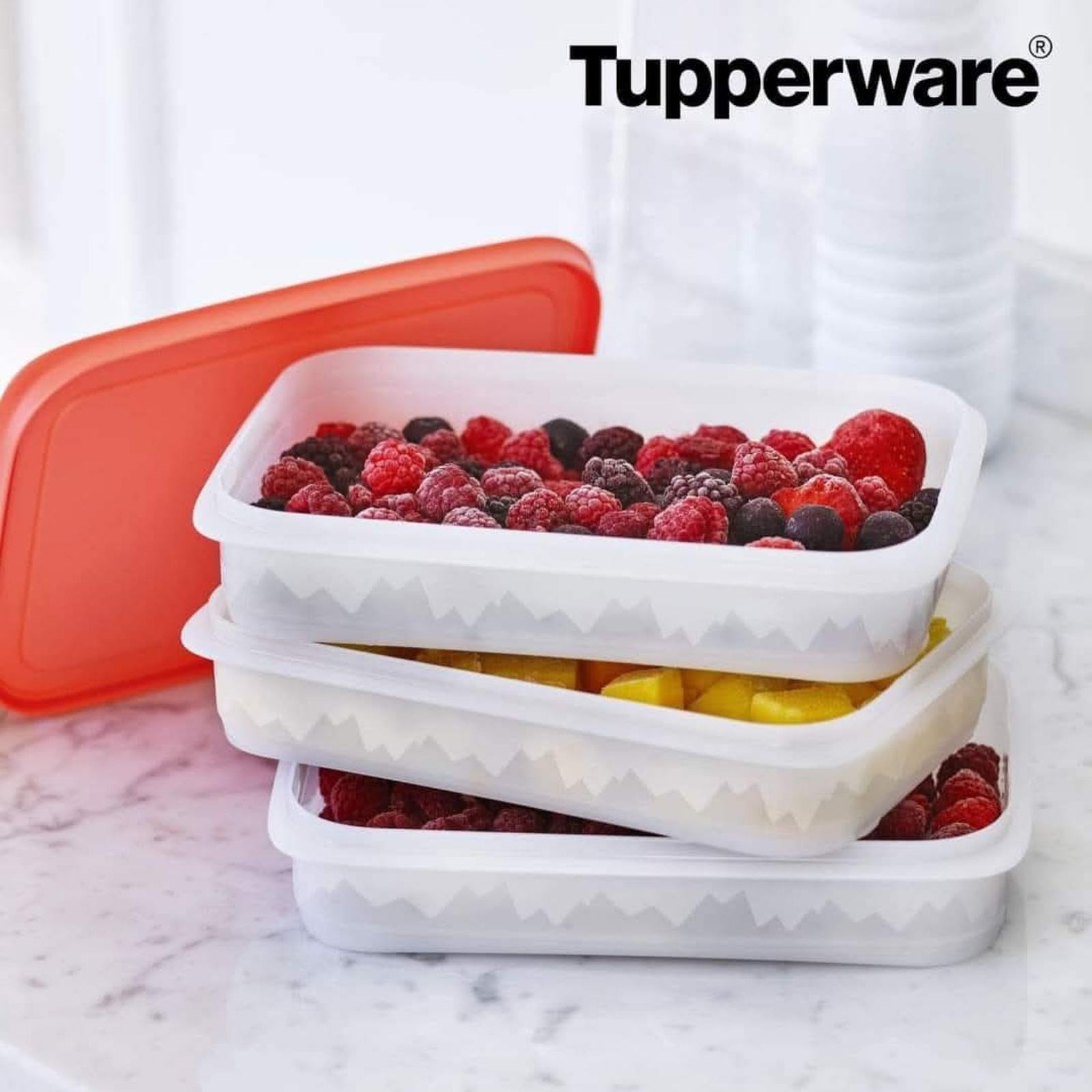 Tupperware Spremnici za zamrzivač 3 u 1