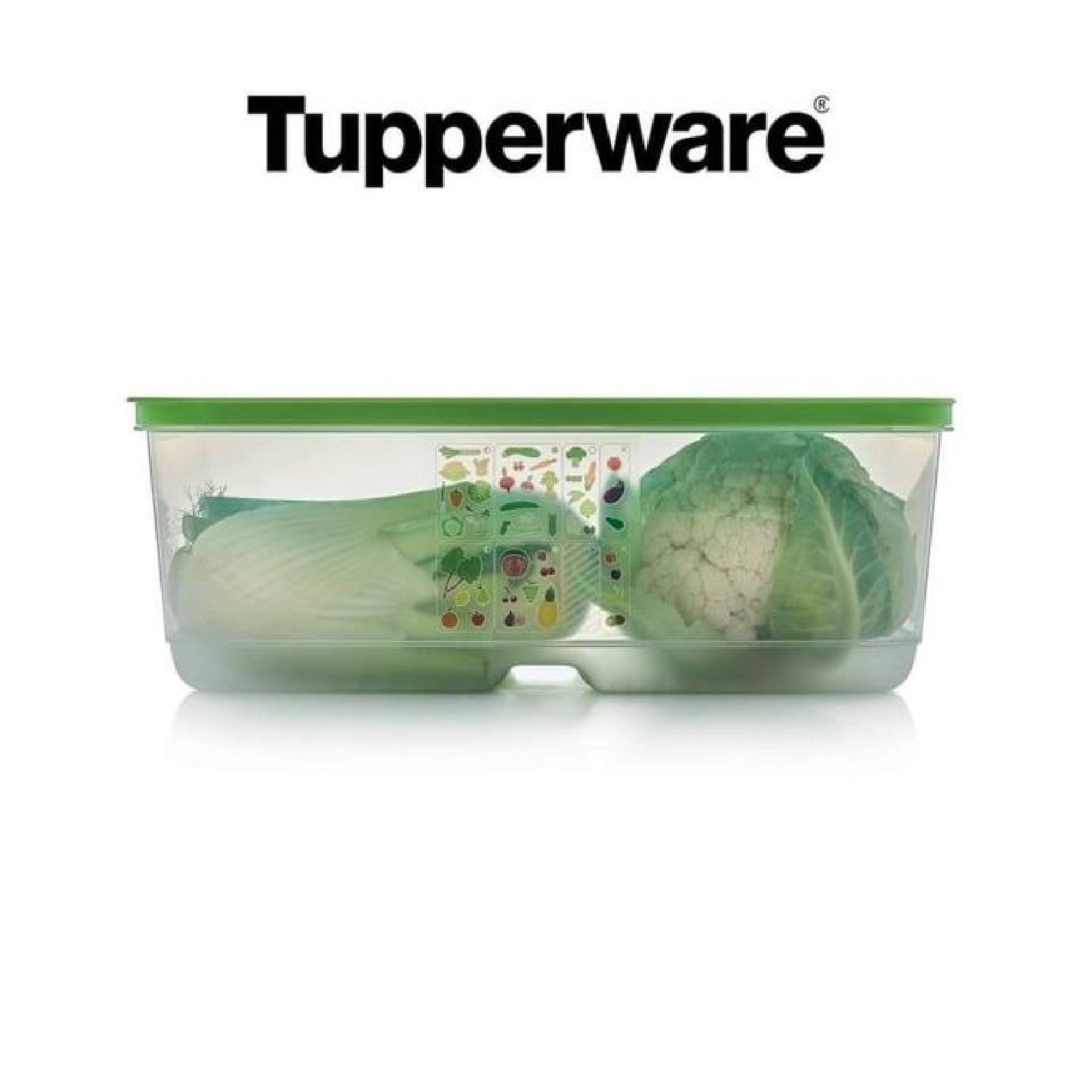 Tupperware Ventsmart 9,9l