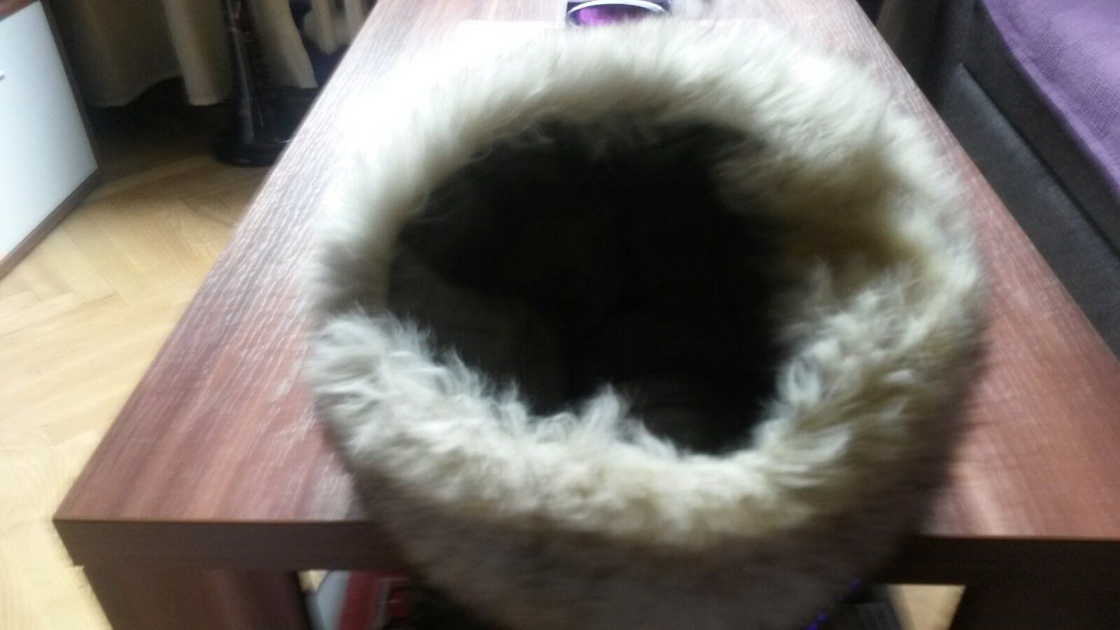 zenska subara od polarne lisice