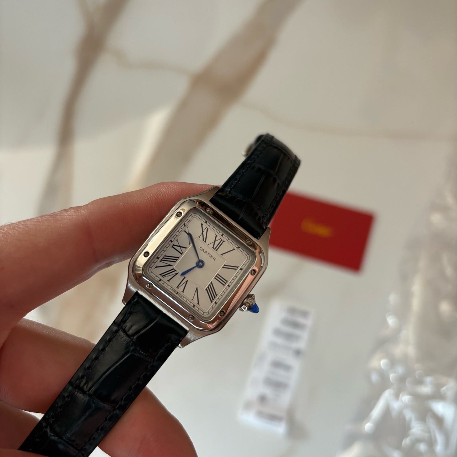 Cartier Santos-Dumont sat