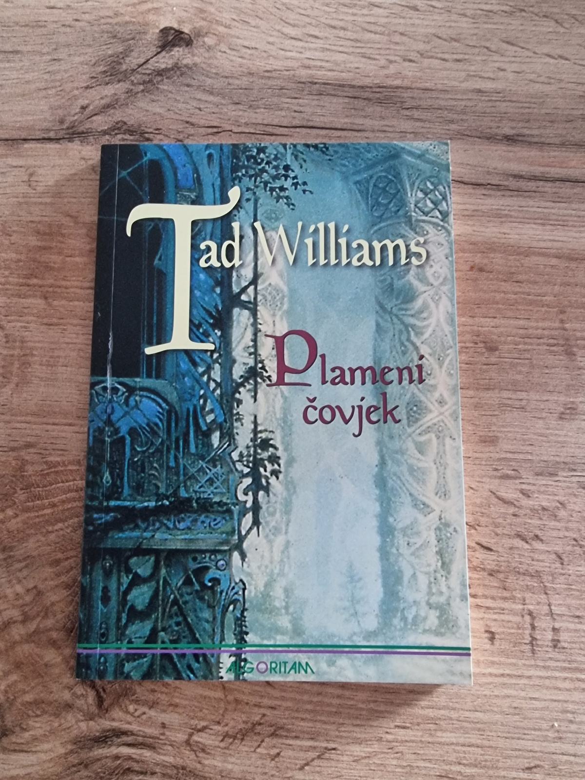 Tad Williams - Plameni čovjek