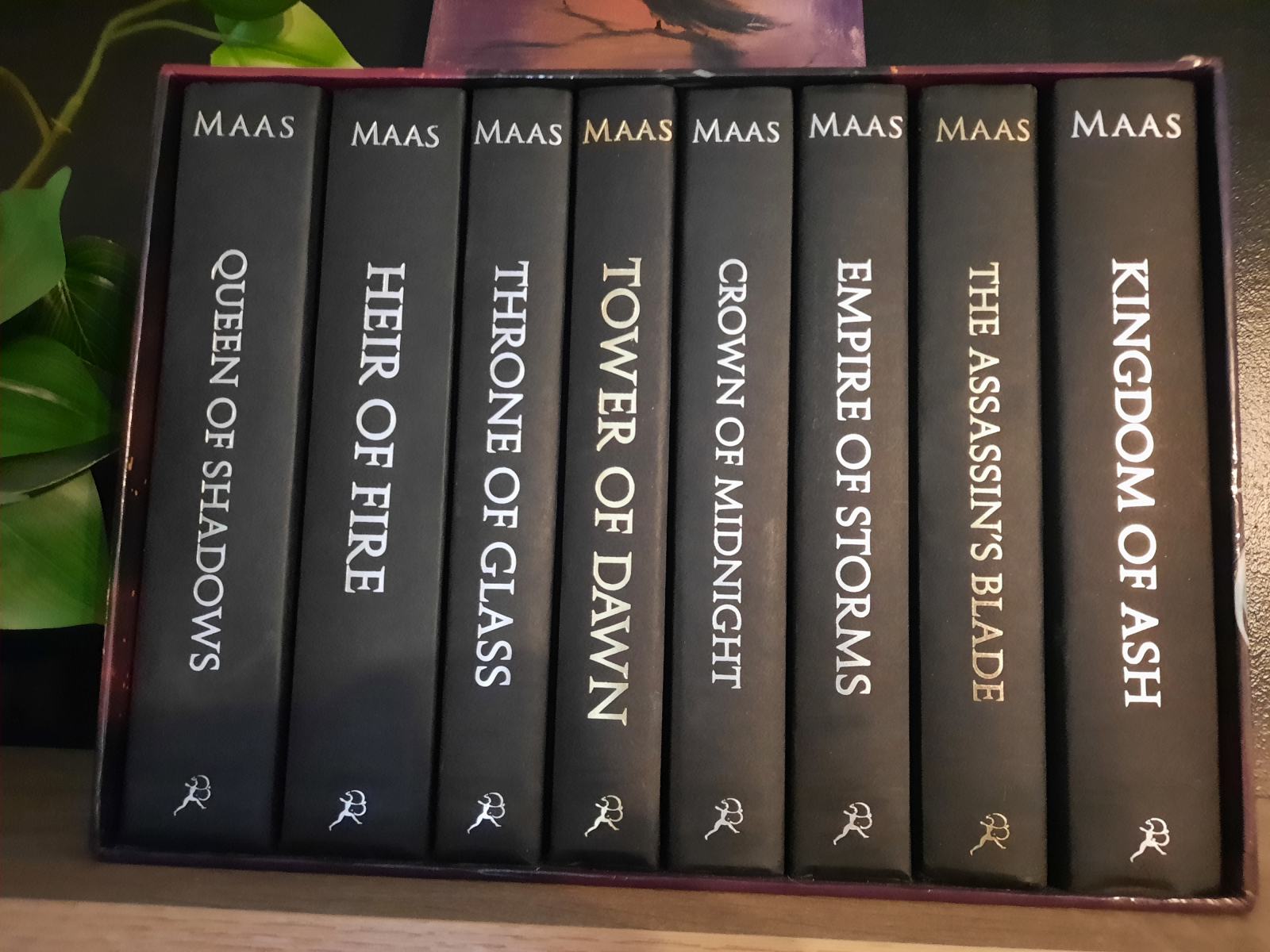 Throne of Glass Box Set, Sarah J. Maas, hardcover