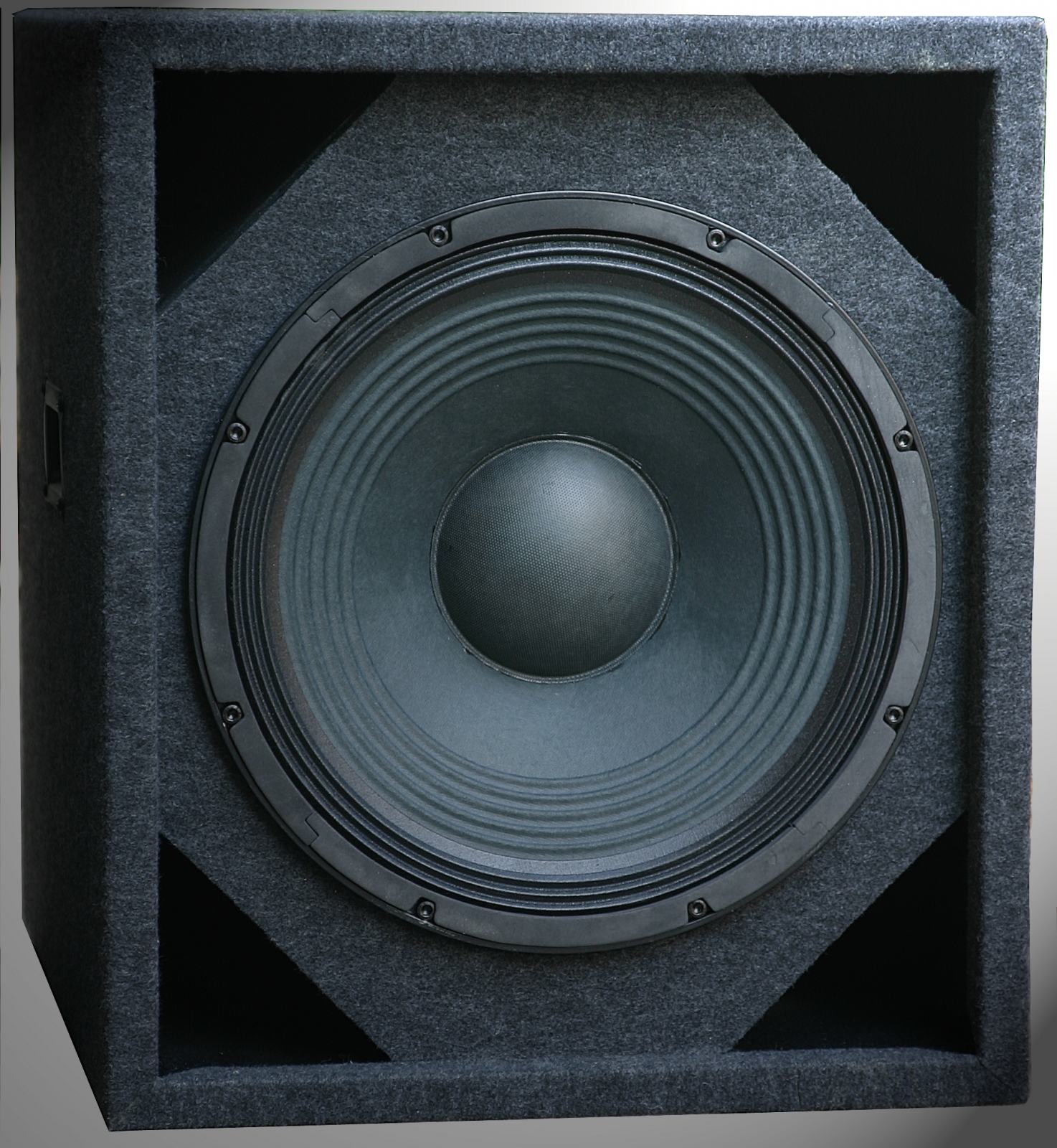 Subwoofer SPA15 15 550W custom