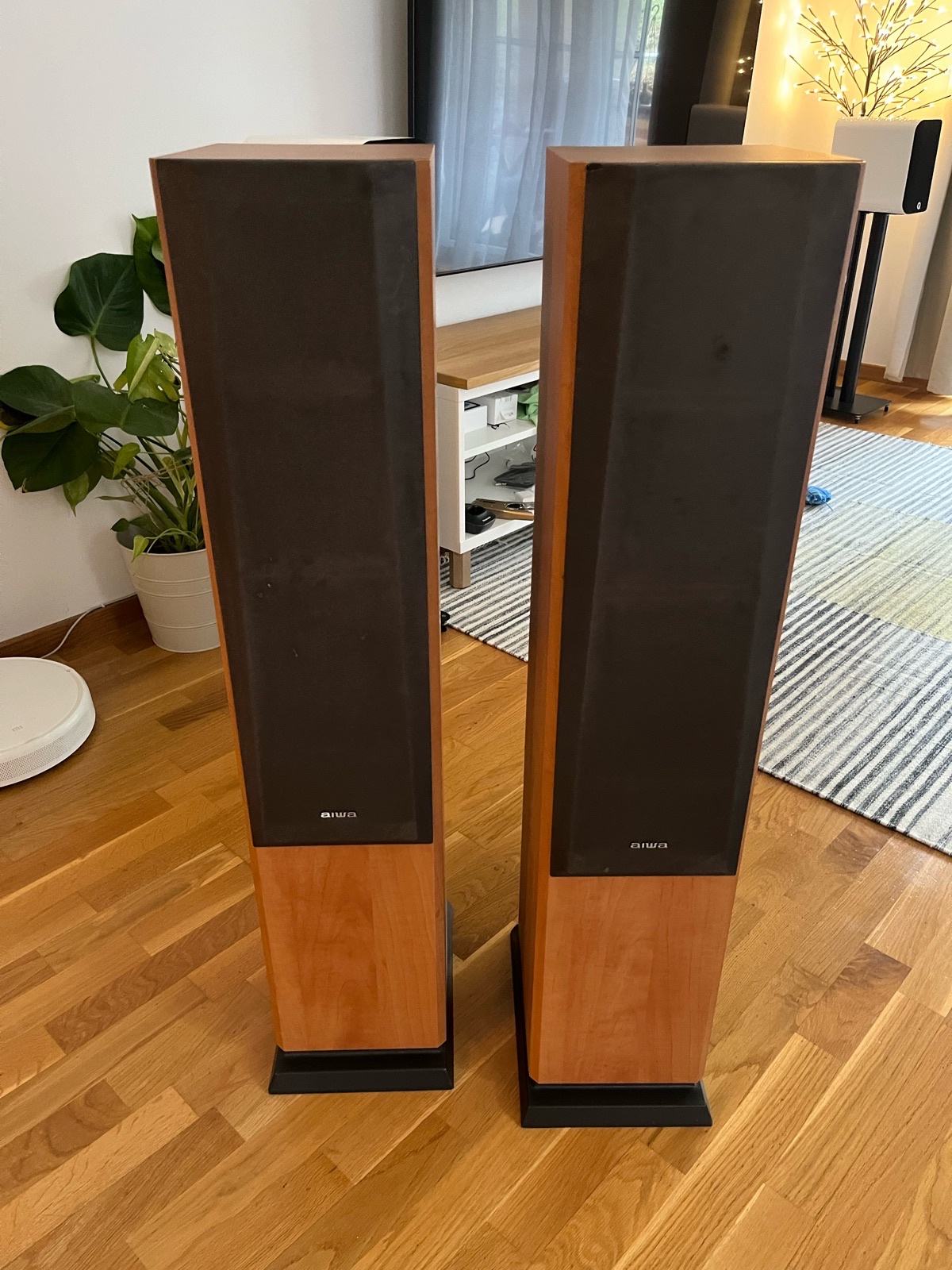 Aiwa SX-TF30 samostojeći zvučnici