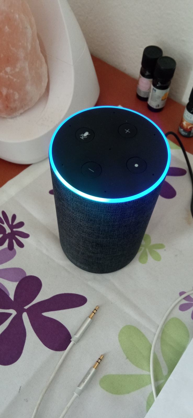 Amazon alexa echo 2