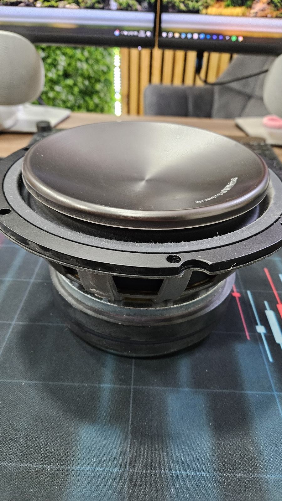 Bowers & Wilkins PV1 subwoofer driver 8 inch, 6.2kg