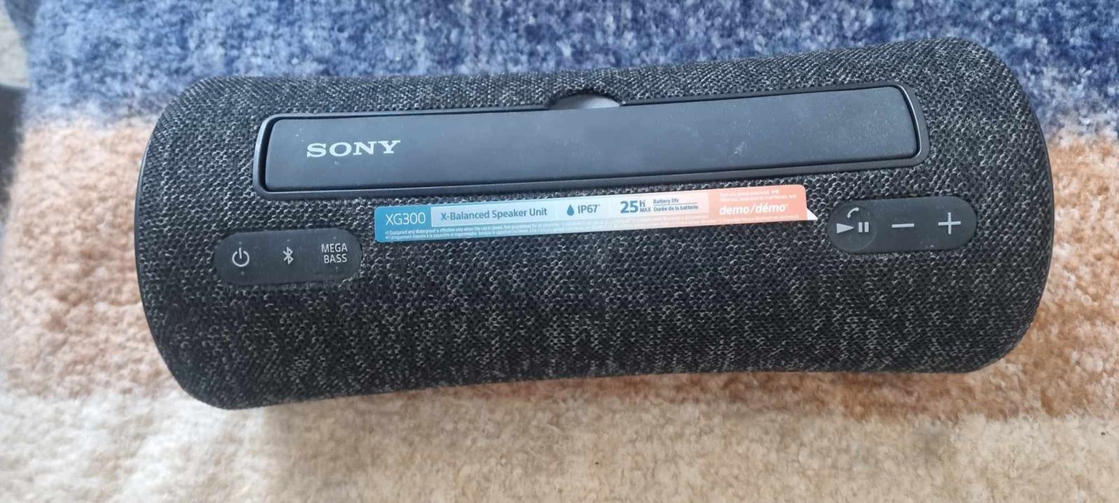 Sony SRS XG 300