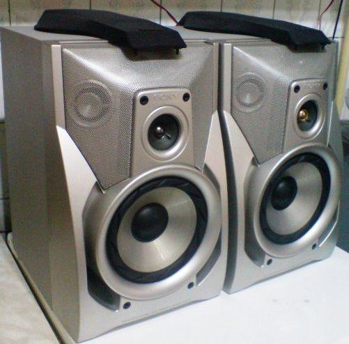 ZVUČNICI SONY SS-RX99